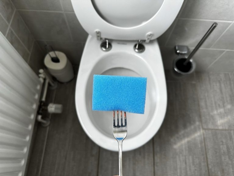 JEDER putzt seine Toilette mit einer Gabel (DAS ist der GRUND)